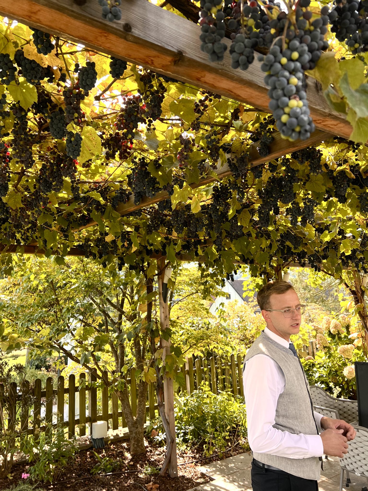 Kehlberghof in Graz: Gastronomie hat ohne Nachhaltigkeit keine Zukunft ...