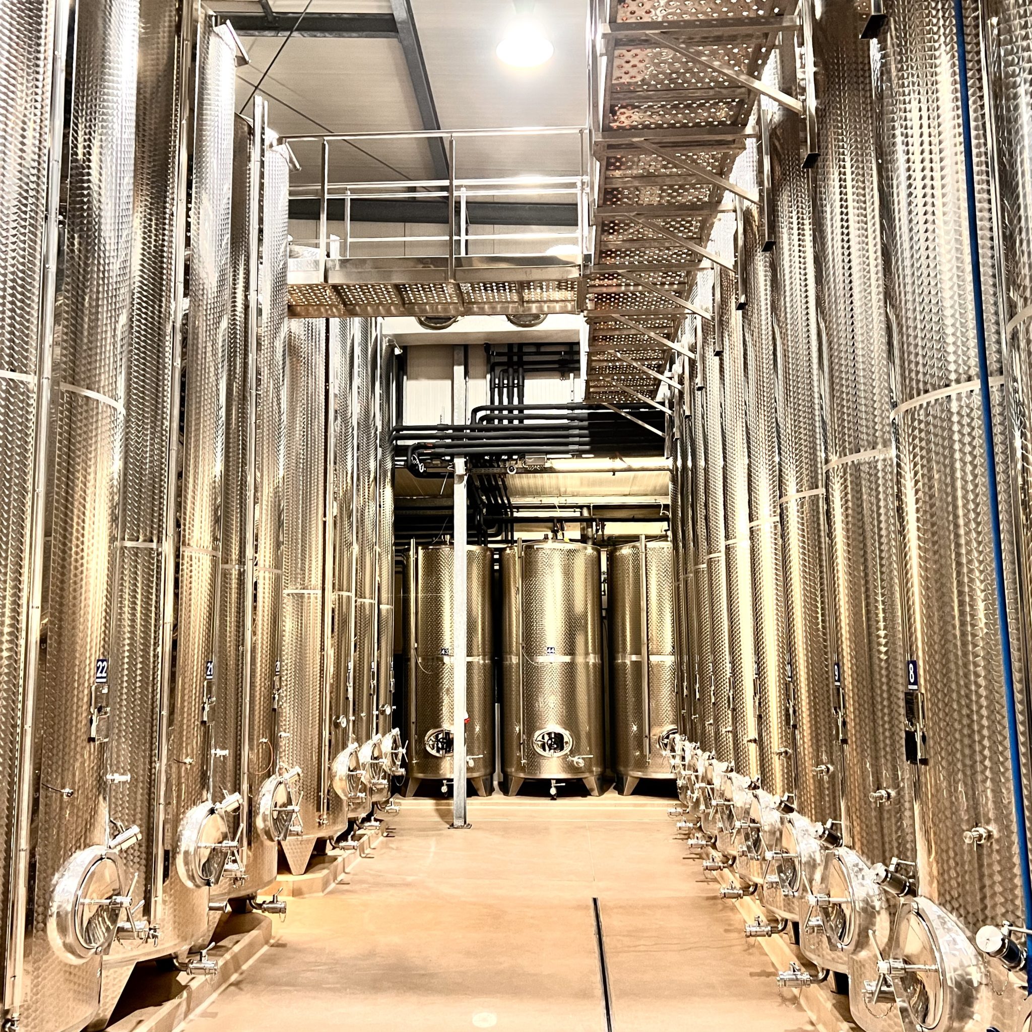 Weingut Krispel eröffnet einen der modernsten Weinkeller Österreichs ...